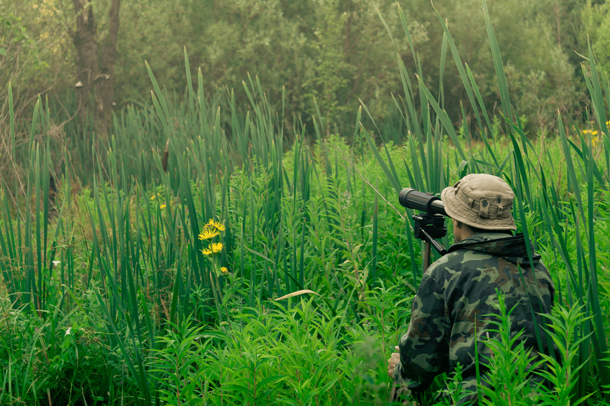 7 Strategies for protecting wildlife